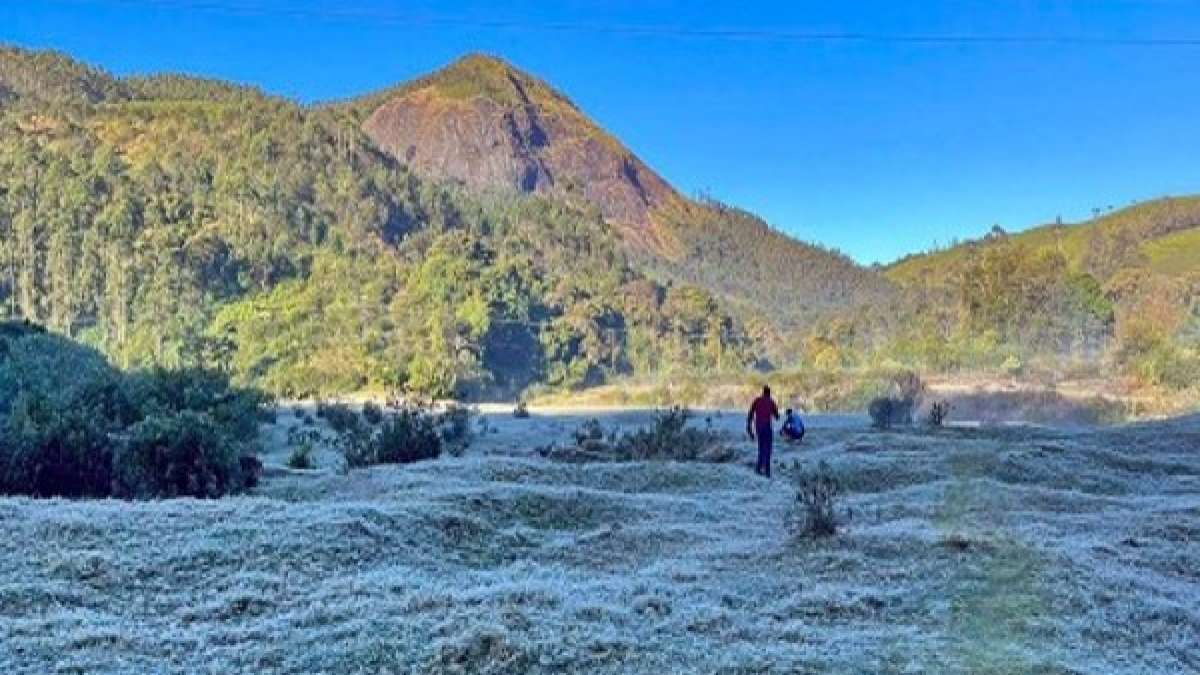 Grass Covered With Frost As Temperature Drops Below Zero Degree Celsius ...