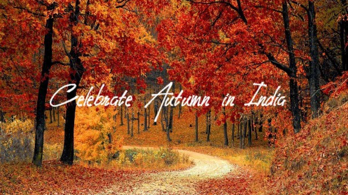 Best Autumn Holiday Destinations In India - Nativeplanet