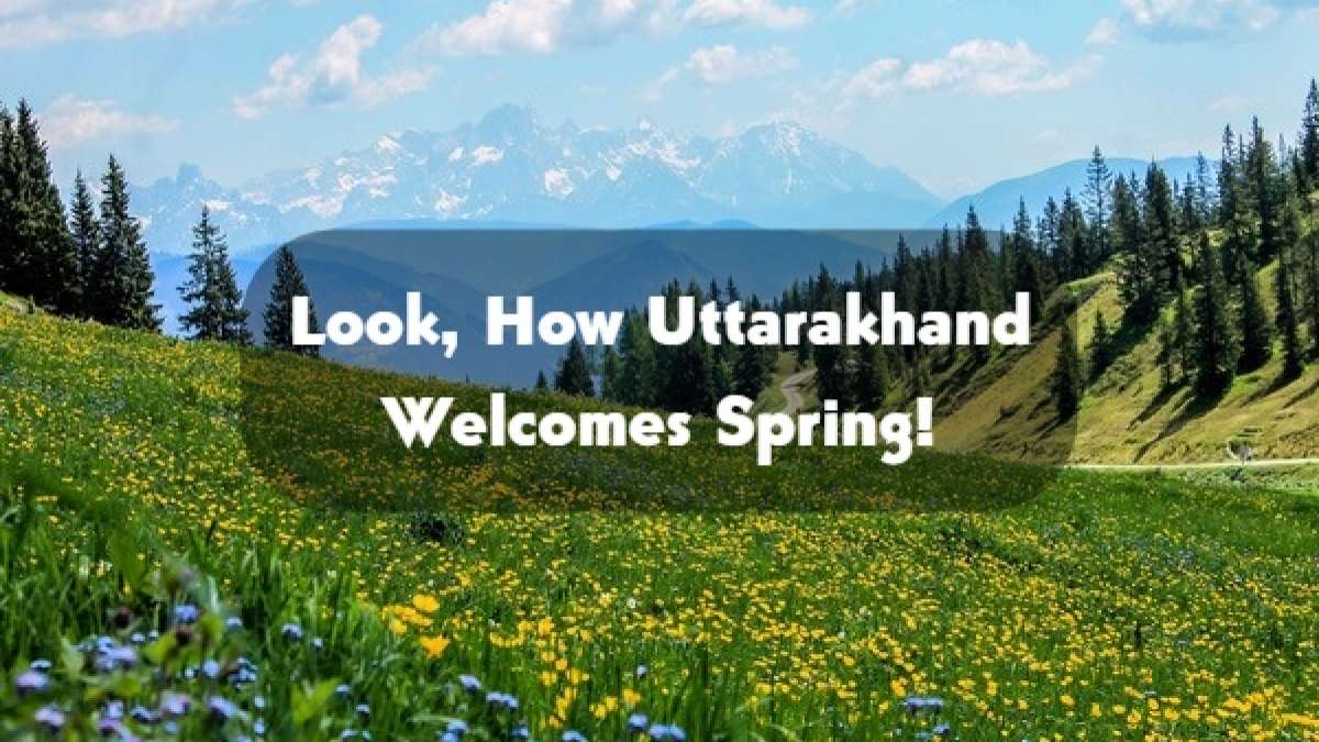 Phool Dei Festival In Uttarakhand, History, Significance, All You Need ...
