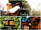 5 Amazing Treehouse Experiences in South India - Nativeplanet