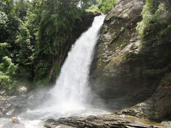 Wayanad for the Adventurous - Nativeplanet