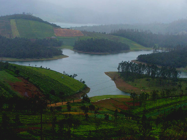Trekking Nilgiris - Nativeplanet