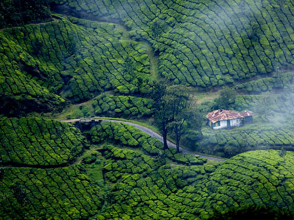 Coorg Overshines Munnar as the Top Tourist Spot! - Nativeplanet