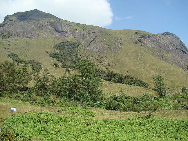 24 hours in Munnar! - Nativeplanet