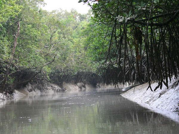 Exploring the Sundarbans - Nativeplanet