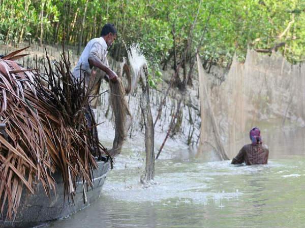 Exploring the Sundarbans - Nativeplanet