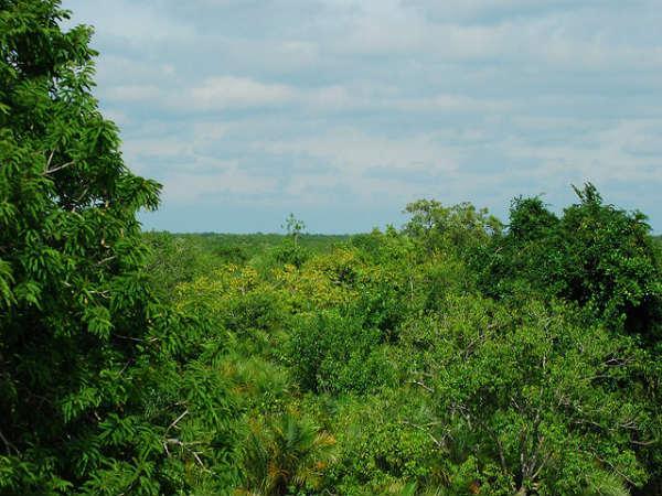Exploring the Sundarbans - Nativeplanet