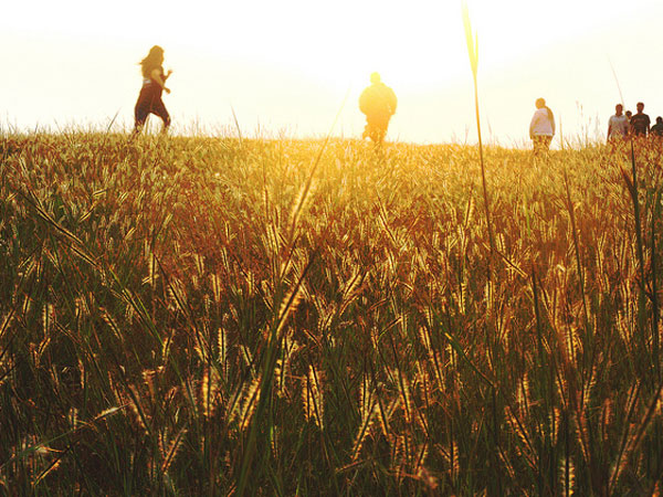 A Jaunt to the Hills - Exploring Panchgani and Mahabaleshwar - Nativeplanet