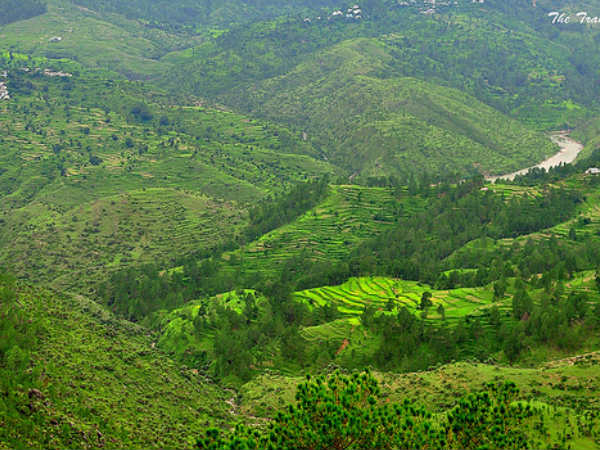 Almora, A Blissful Retreat - Nativeplanet