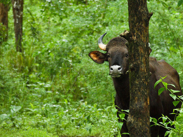 Enthralling Visual Tour of Karnataka - Nativeplanet
