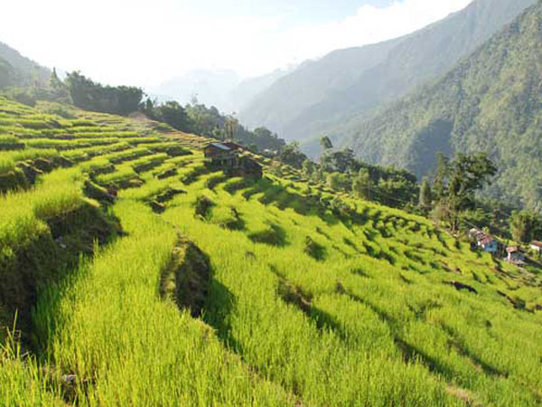Dzongu, The Land of Lepchas - Nativeplanet