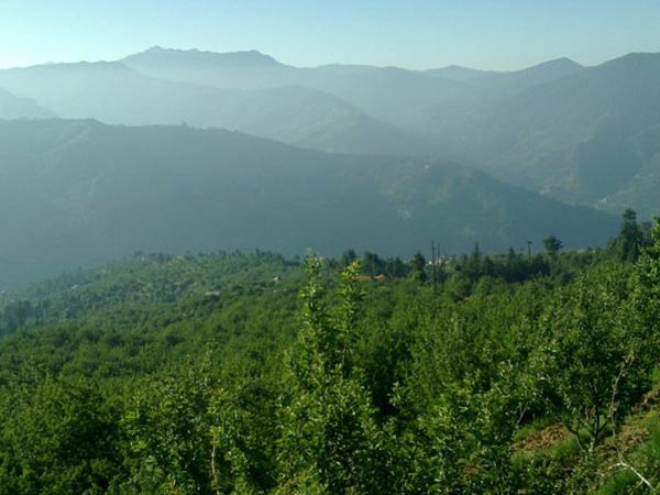 Kotkhai, The Palace on a Cliff - Nativeplanet