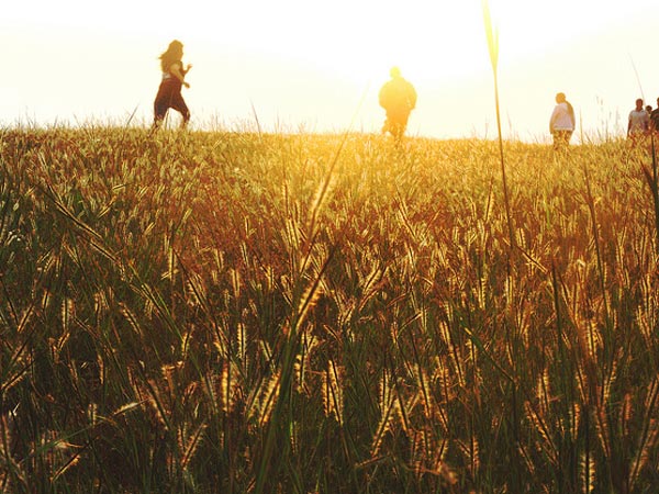 Hill Stations in Maharashtra - Nativeplanet