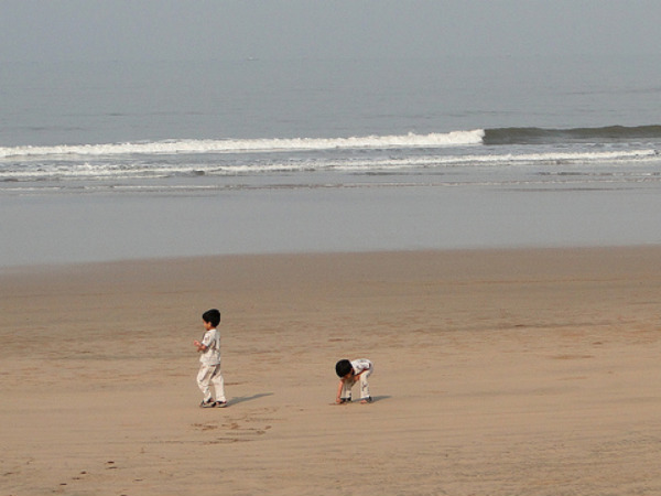 14 Beautiful Beaches of Maharashtra - Nativeplanet