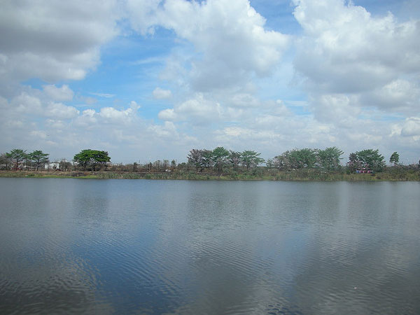 Unveiling the Glorious Lakes of Bangalore - Nativeplanet