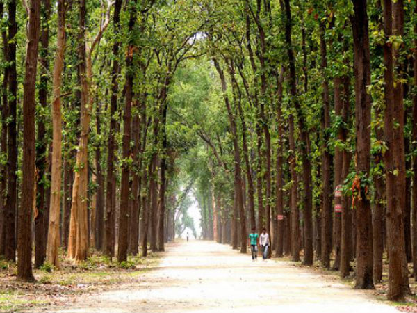 Travel to the Spiritual Town of Gorakhpur - Nativeplanet