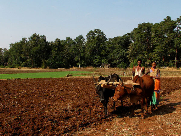 10 Unique Travel Experiences – It Only Happens in India! - Nativeplanet