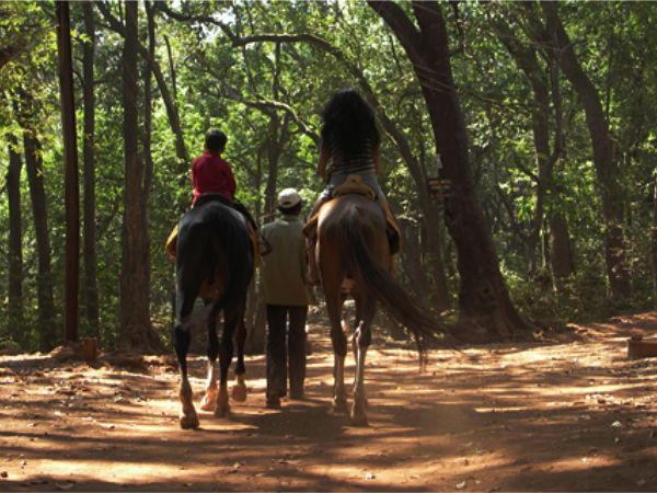 5 Unique Means of Transport in India! - Nativeplanet