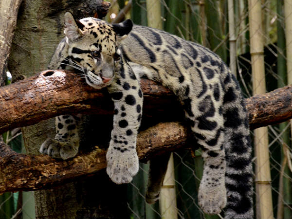 Breath Taking Views of Arunachal Pradesh - Nativeplanet