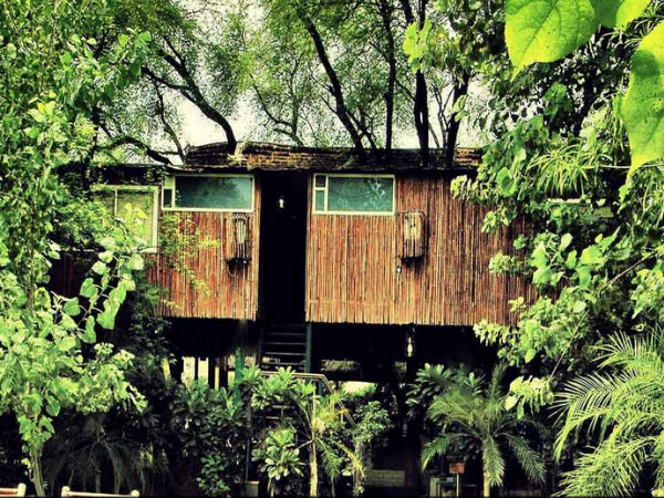 5 Stunning Tree House Experiences in India - Nativeplanet