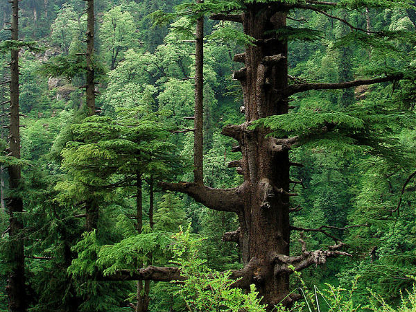 10 Places to Visit in India Before You Die - Nativeplanet