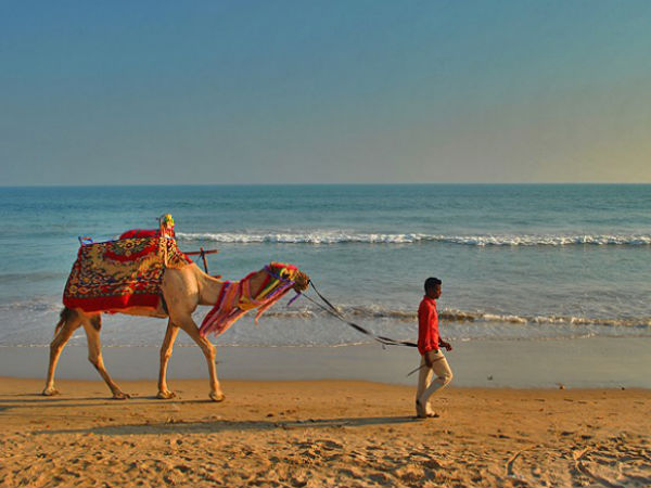 Hypnotising Beaches in Odisha! - Nativeplanet