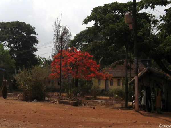 Bhatkal: Mini Dubai - Nativeplanet