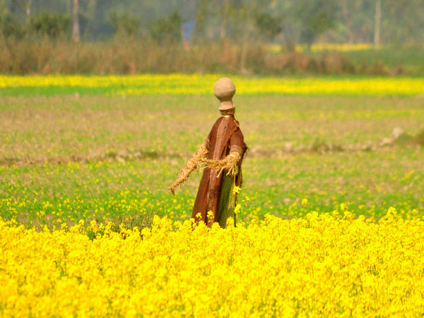 Mayong – “The mysterious land of MAGIC” - Nativeplanet