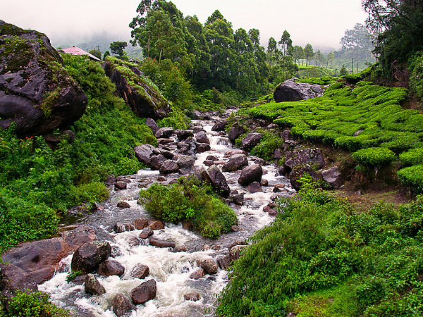 A Photo Tour to The Best Eco-Tourism Destinations of India! - Nativeplanet