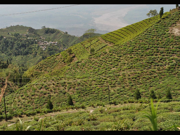 Mirik: A Place To Be Remembered! - Nativeplanet