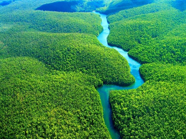 The Amazon Location Facts South America - Nativeplanet