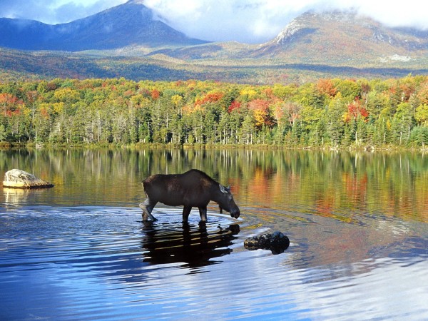 Brooks Range Location Facts Alaska USA - Nativeplanet