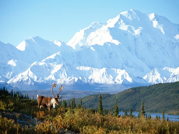 Brooks Range Location Facts Alaska USA - Nativeplanet