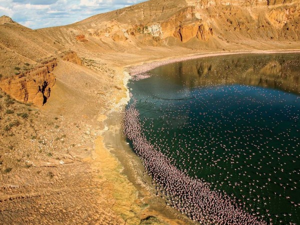Lake Turkana Location Facts History Kenya Africa - Nativeplanet