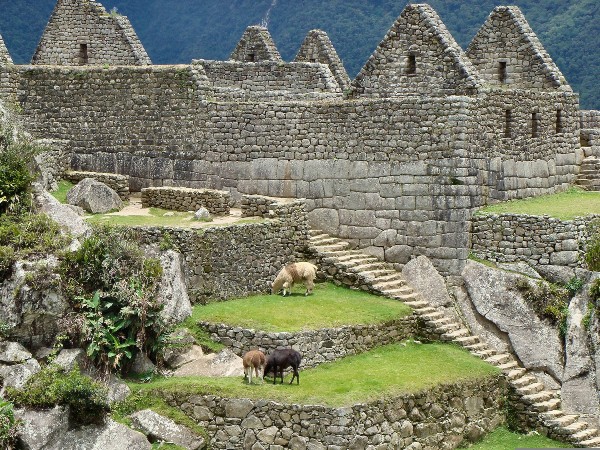 Machu Picchu South America Peru Location Facts History Best Time to ...