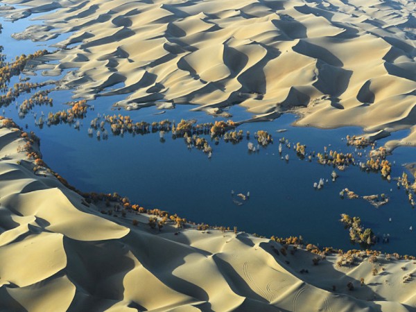 Taklamakan Desert Location History Facts China - Nativeplanet