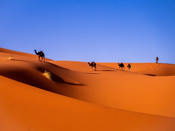 Tenere Desert Location Facts History Niger Chad Africa Sahara Desert ...