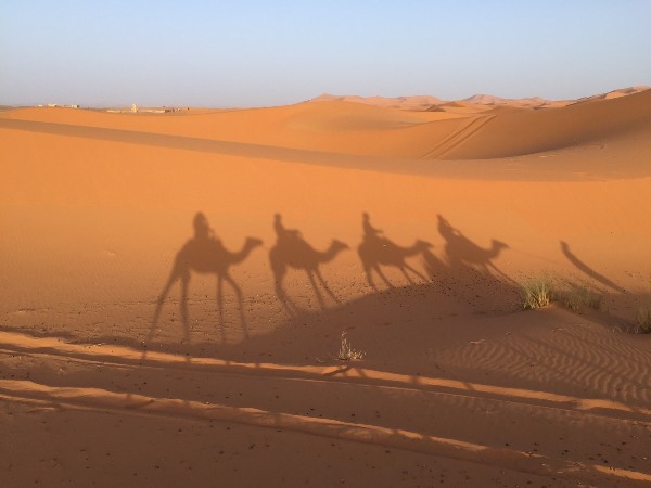 Tenere Desert Location Facts History Niger Chad Africa Sahara Desert ...
