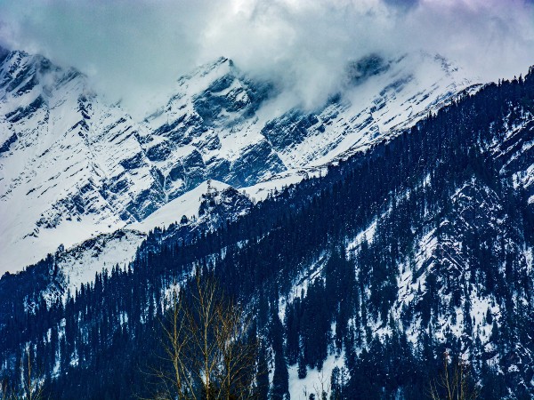Himachal Pradesh: Kangra District Outlawed Trekking Above 300 Meters ...
