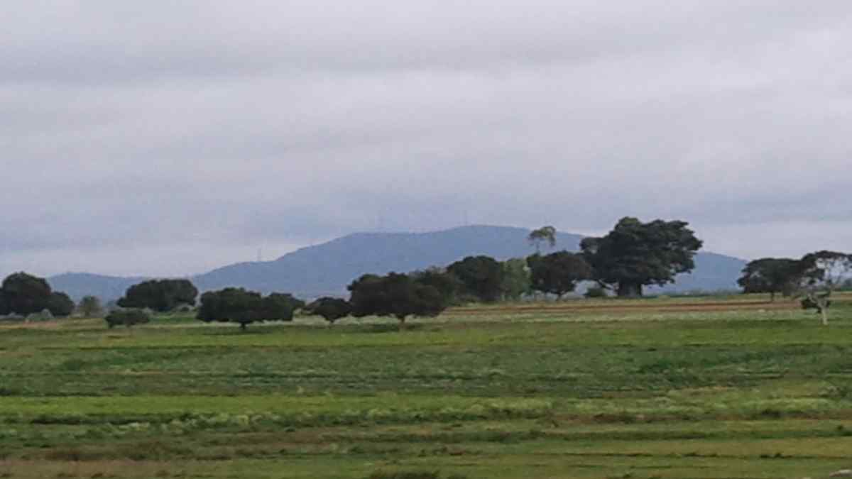 All about Seege Gudda Kaval, Hassan, Karnataka, Place of Lord Shiva ...