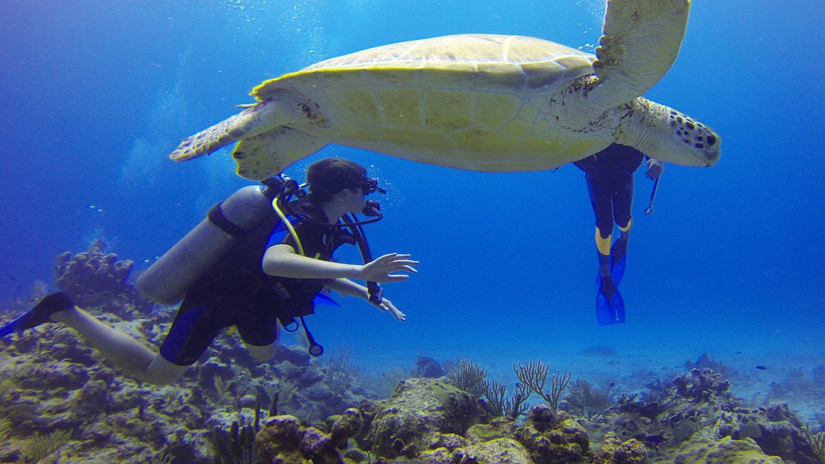 Discover The Safest Scuba Diving Spots In India - Nativeplanet
