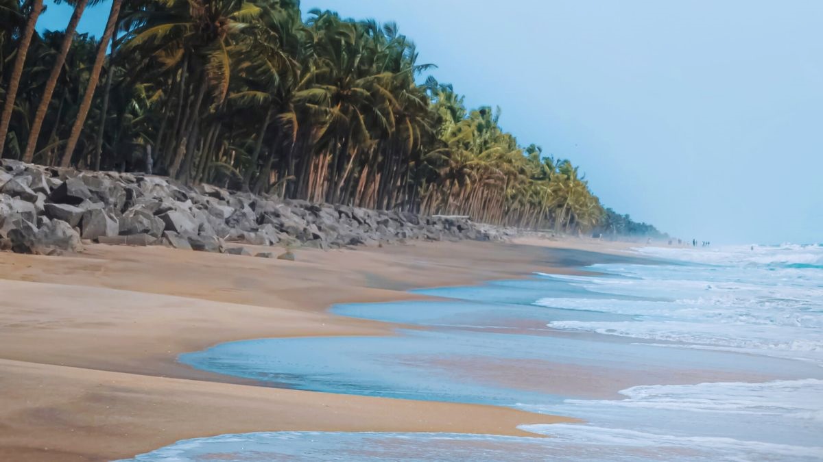 Escape the Heat: Unwind in the Tranquil Backwaters of Kerala this ...