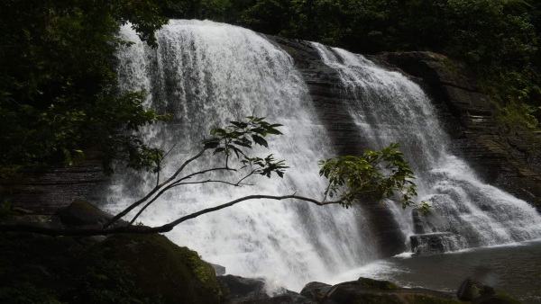 Five most stunning waterfalls in Madekeri during the monsoon season ...