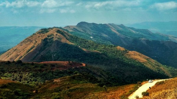 Insurance Options Introduced By Forest Department for Tourists Visiting ...