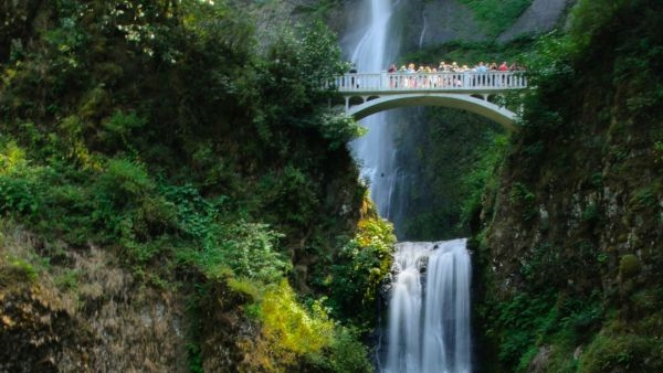 Multnomah Falls: Nature's Majestic Cascade in Oregon - Nativeplanet