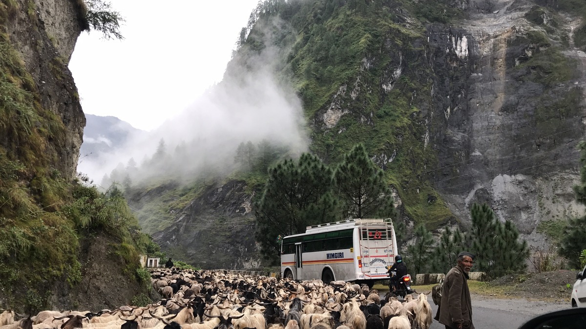 Delhi To Leh Bus Service Started Again By HRTC, Price, Schedule ...