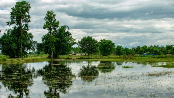 Exploring the Enchanting Charms of Siliguri: A Hidden Gem in India ...