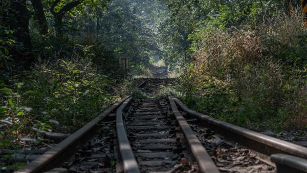 Matheran: Maharashtra's Quaint Hill Station with Endless Views ...