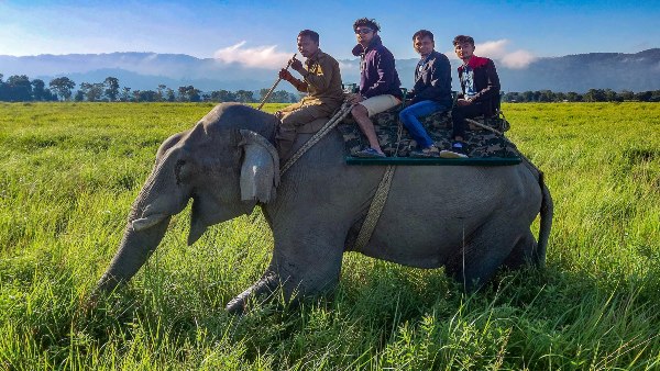 The Enchanting Treasures of Assam: Exploring the Top 5 Travel ...