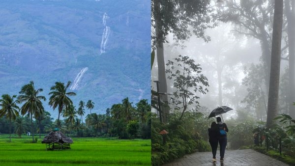 Backwaters To Ayurvedic Treatments: Enjoy The Monsoon Magic In Kerala ...